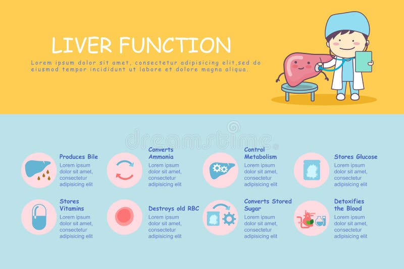 Infographic van lever vector illustratie. Illustration of gegevens ...