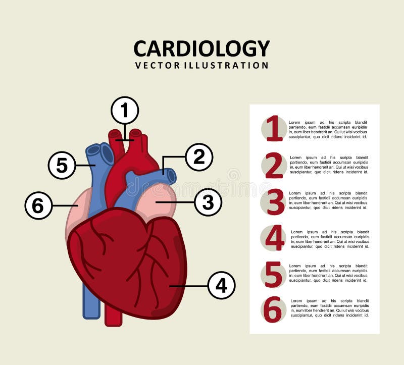 Cardiology design stock illustration. Illustration of organ - 46918935