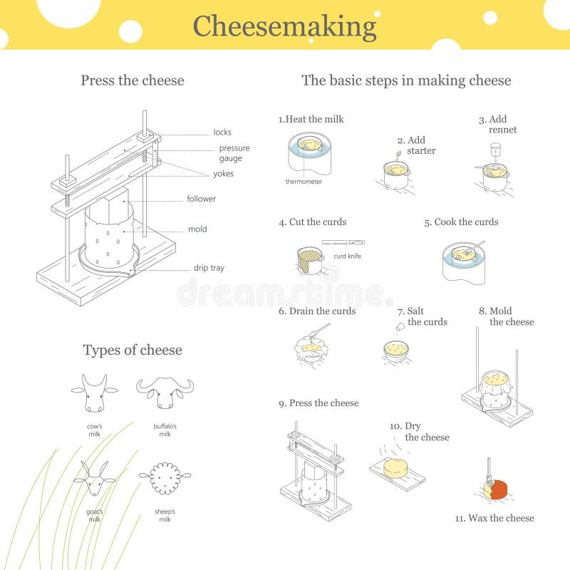 Infographics about cheese stock vector. Illustration of country - 98554722
