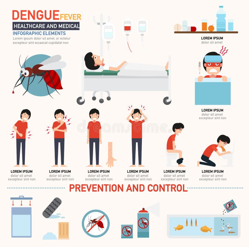Infographics De La Fiebre De Dengue Ilustración del Vector ...
