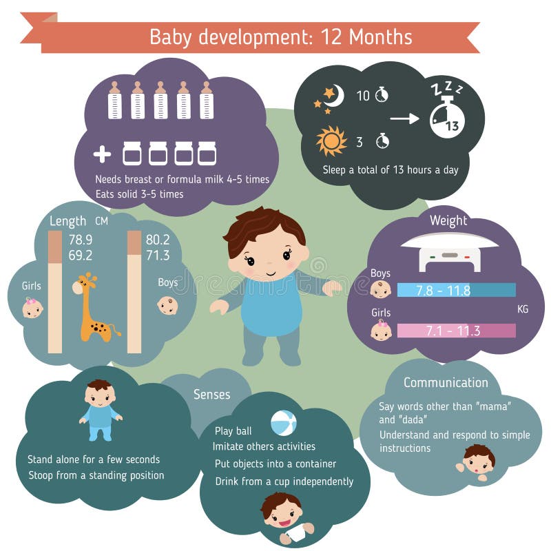 Infographics Del Desarrollo Infantil Ilustración del Vector ...