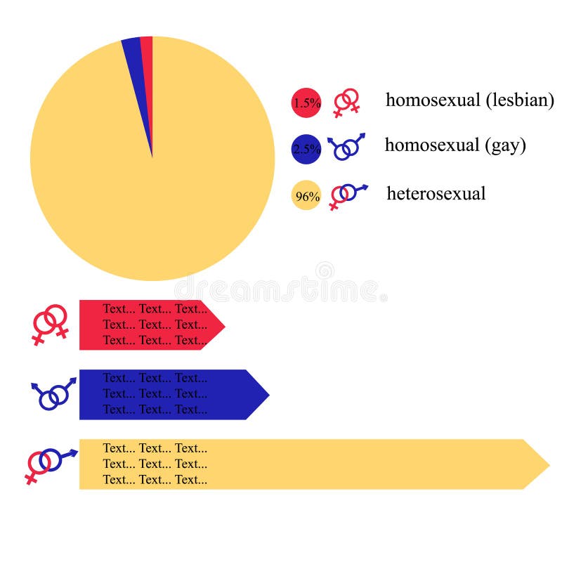 Homosexual Infographics Template Stock Vector Illustration Of Data