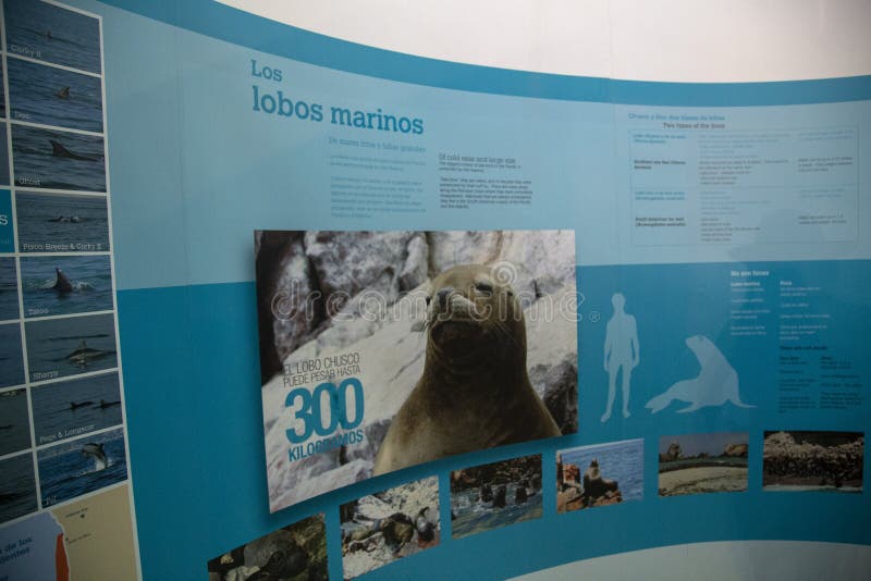 Infographics and Maps... ,National Reserve of Paracas Peru Editorial ...