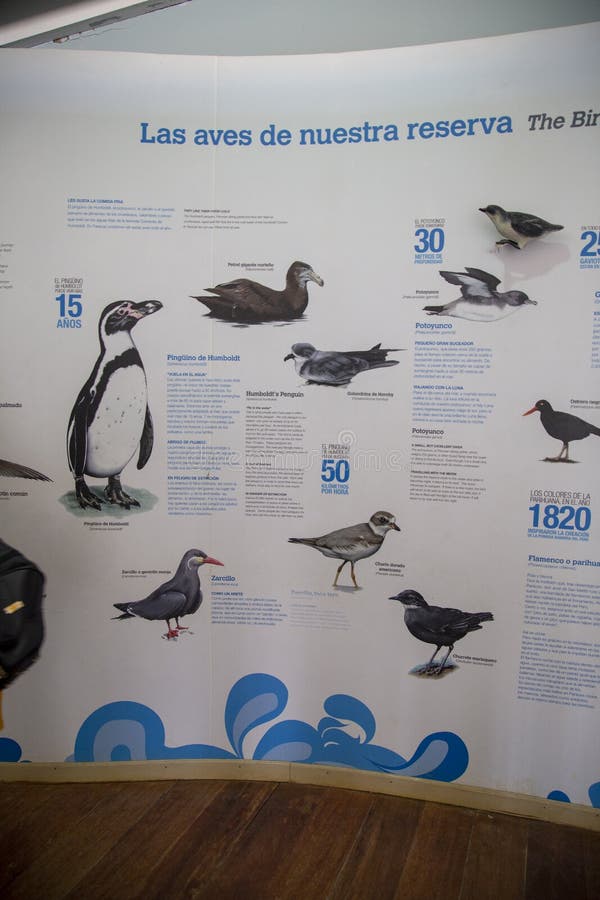 Infographics and Maps... ,National Reserve of Paracas Peru Editorial ...