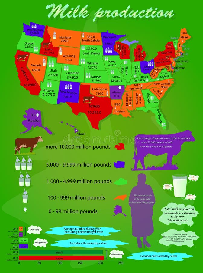 Infographics Minimum Wage in USA Stock Vector - Illustration of design ...