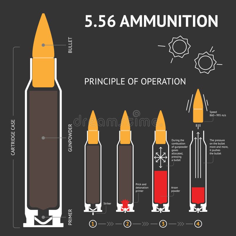 Infographics about the Principle of Bullet Operation. Vector Stock ...