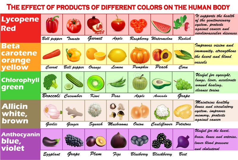 Infographics Set. - the Effect of Products of Different Colors on the ...