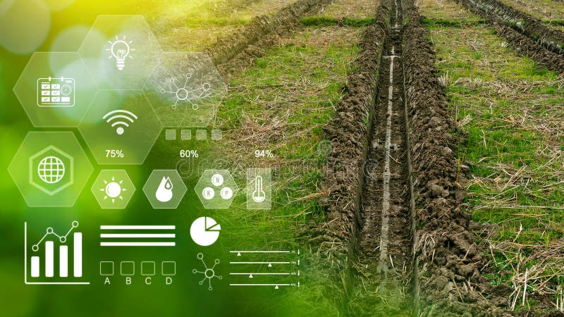 Infographics Smart Farming and Precision Agriculture with Visual Icon ...