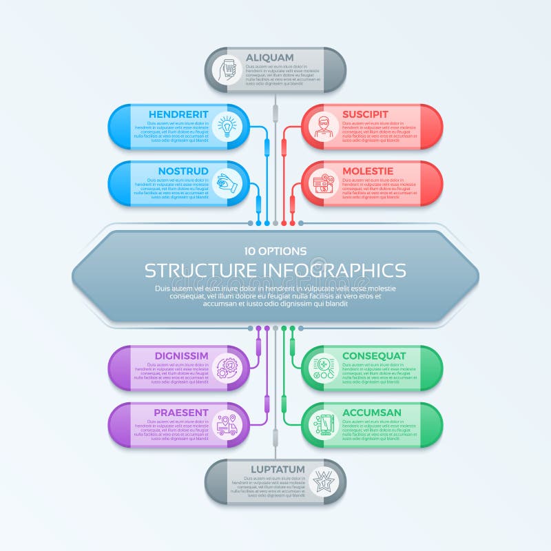 Infographics Template with 10 Structure Elements of Business Org Stock ...