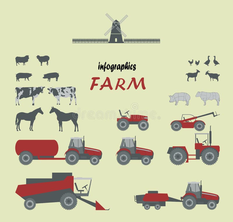 Infographics . stock vector. Illustration of design, food - 71304861