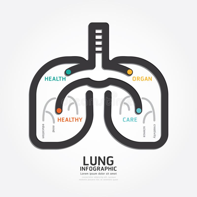 Infographics Vector Lung Design Organ Concept Diagram Line Style Stock ...