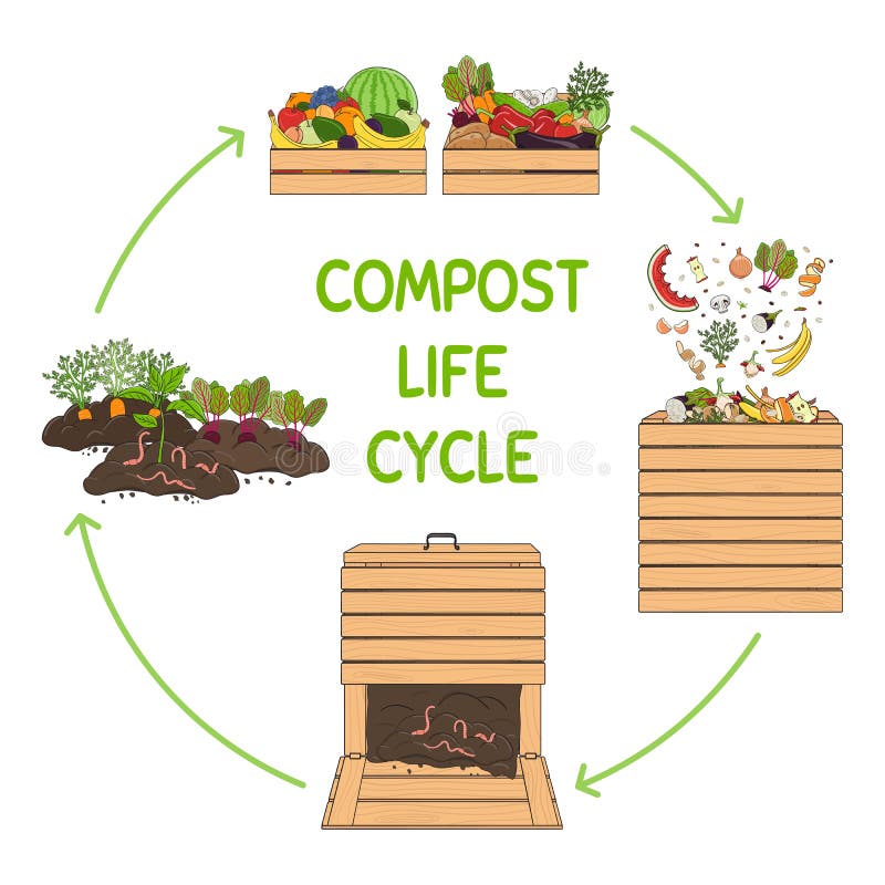 Infographie Du Cercle De Vie Du Compost Procédé De Compostage Schéma