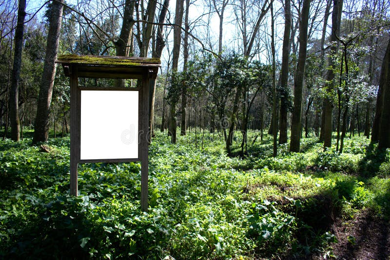 Information Board in Forest Stock Photo - Image of autumn, message ...