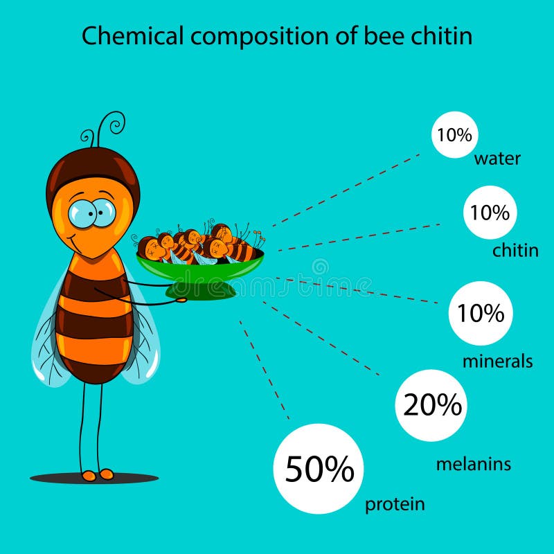 Chitin, Chemical Structure. Chitin is a Polymer of N-acetylglucosamine ...