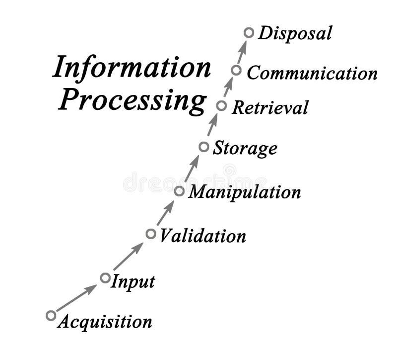 Information Processing stock photo. Image of information - 84311148