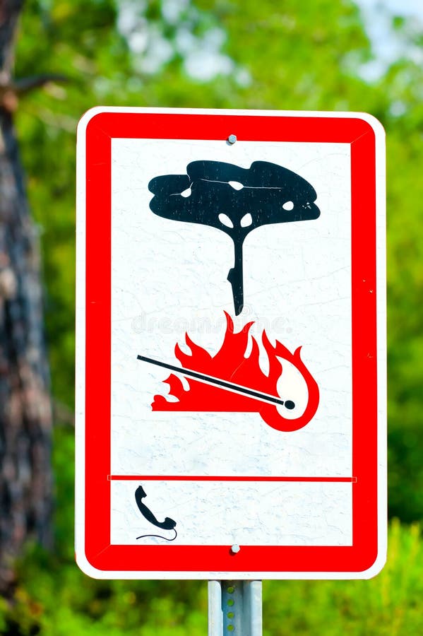Information Sign in Woods on Fire Risk Stock Photo - Image of plants ...