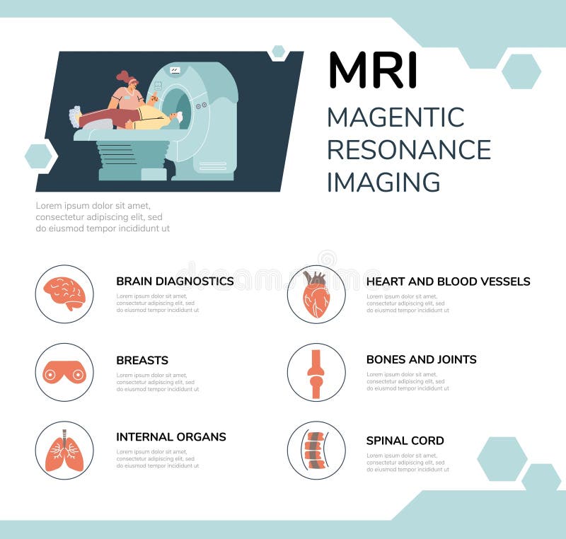Information Vector Layout Explaining the Stages of an MRI Examination ...