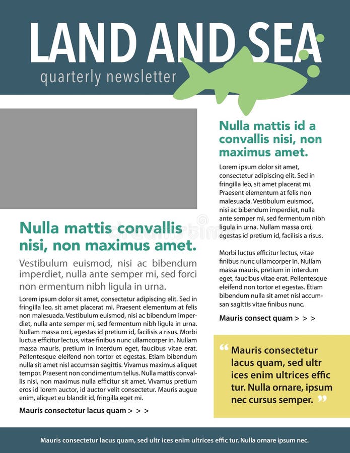 Informationsblad vektor illustrationer. Illustration av mallar - 62984446