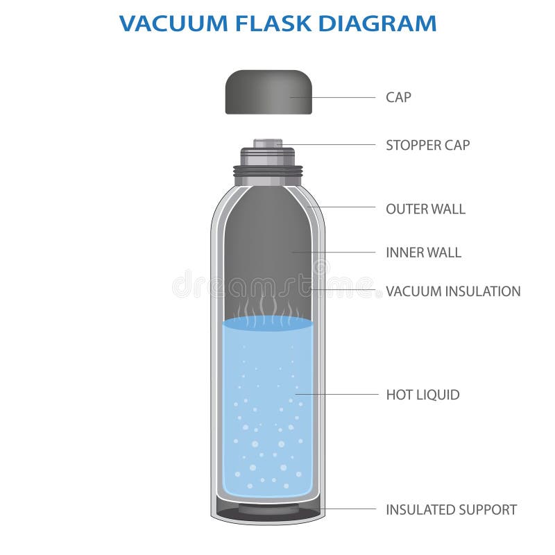 Informative Vector of Vacuum Flask Isolated on White Background Stock ...
