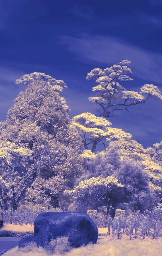 Infrared 5 stock image. Image of infra, skies, infrared - 53727