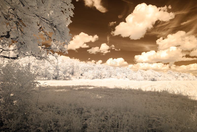Infrared Camera Image. Forest View Stock Photo - Image of lake, water ...