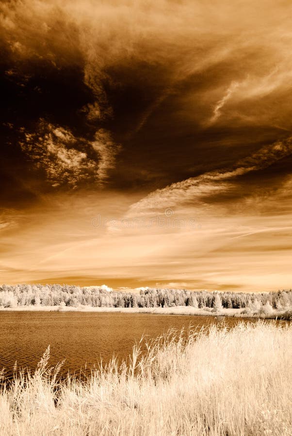 Infrared Camera Image. Reflections in Water Stock Photo - Image of ...