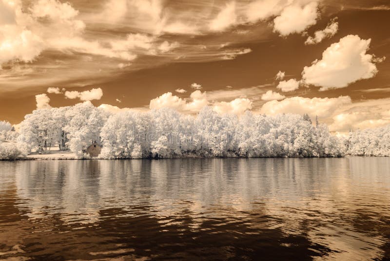 Infrared Camera Image. Reflections in Water Stock Photo - Image of ...