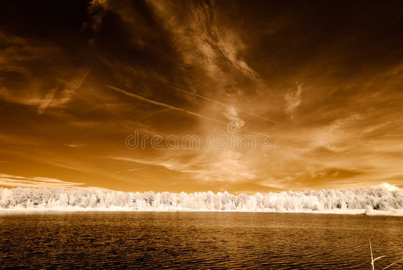 Infrared Camera Image. Reflections in Water Stock Image - Image of ...