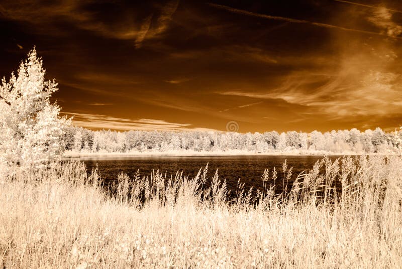 Infrared Camera Image. Reflections in Water Stock Image - Image of ...