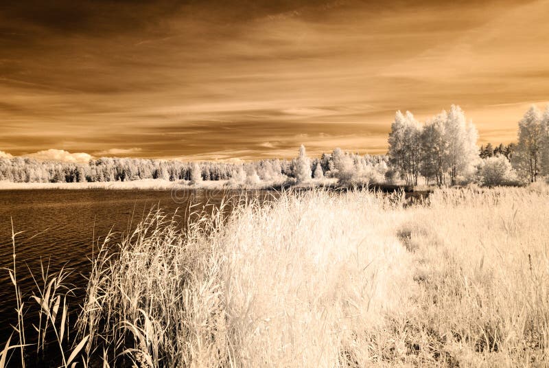 Infrared Camera Image. Reflections in Water Stock Photo - Image of ...
