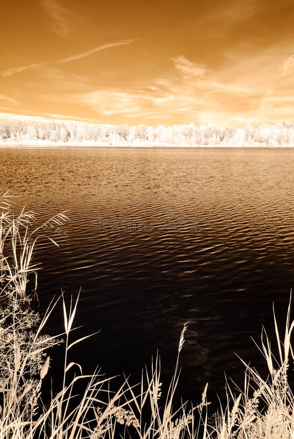 Infrared Camera Image. Reflections in Water Stock Photo - Image of lake ...