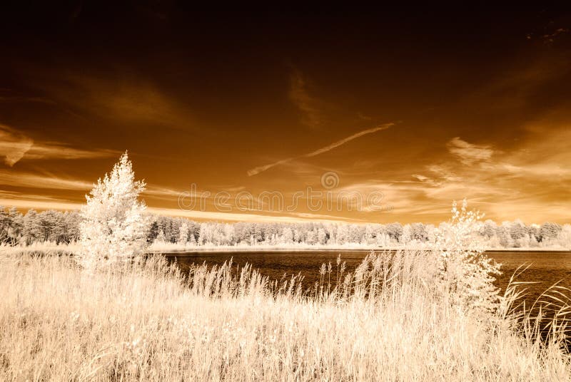 Infrared Camera Image. Reflections in Water Stock Photo - Image of blue ...