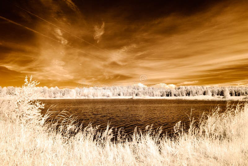 Infrared Camera Image. Reflections in Water Stock Photo - Image of ...