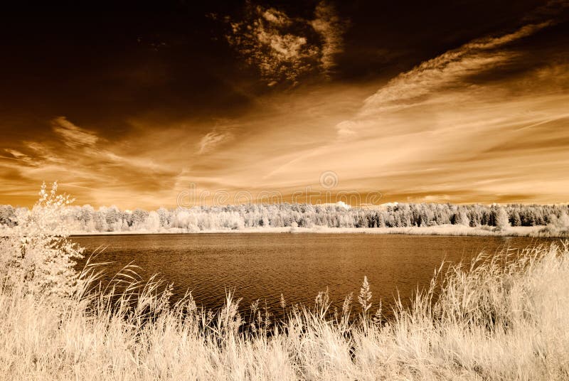 Infrared Camera Image. Reflections in Water Stock Photo - Image of ...