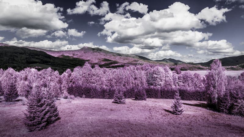 Infrared Forest and Mountains Stock Photo - Image of poland, autumn ...