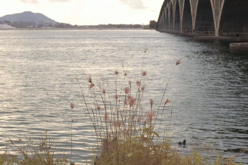 Infrared Image of a Calm Sea Round the Concrete Bridge. Stock Photo ...