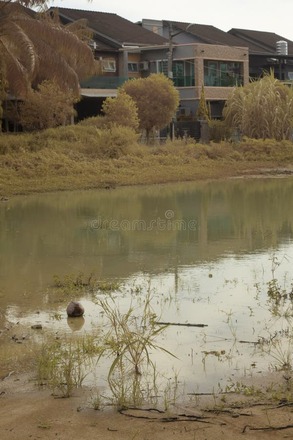 A Marshy Landscape Scene Outside the the Residential Vicinity Area ...