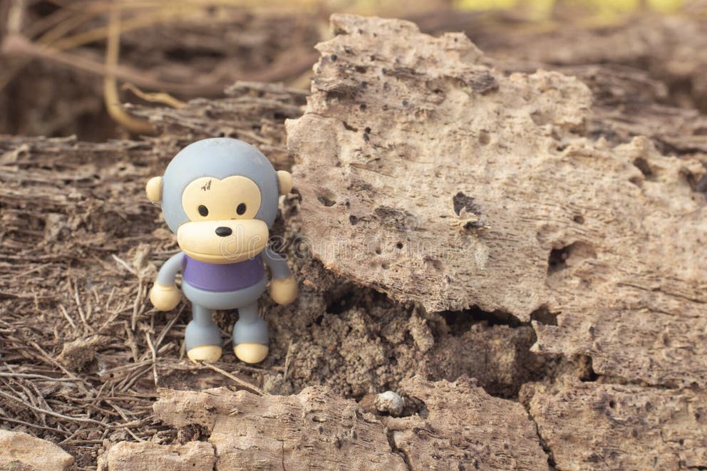 Infrared Image of the Monkey Toys on the Dried Deforested Land Stock ...