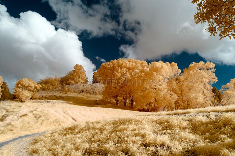 Infrared Image of a Park Landscape in False Colors Stock Image - Image ...
