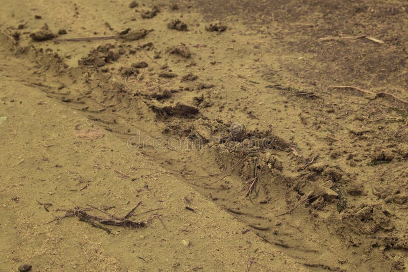 Image of the Rural Road Ground. Stock Image - Image of pattern, imprint ...