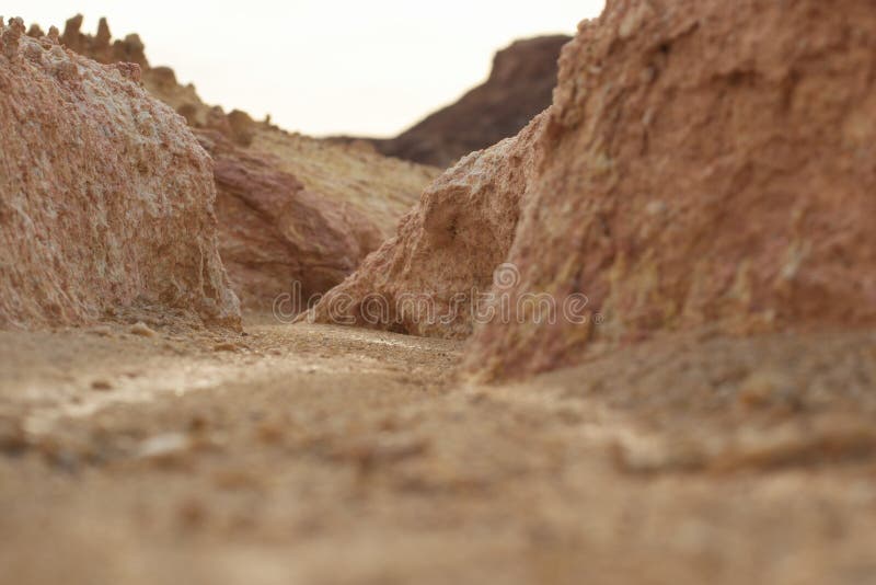 Scene Around the Deserted Land Due To Deforestation and Earth Mining ...