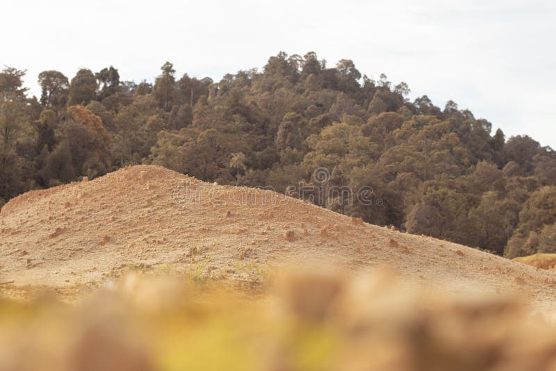 Scene Around the Deserted Land Due To Deforestation and Earth Mining ...