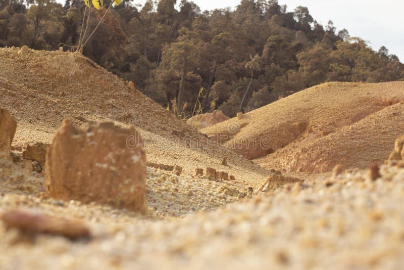 Scene Around the Deserted Land Due To Deforestation and Earth Mining ...