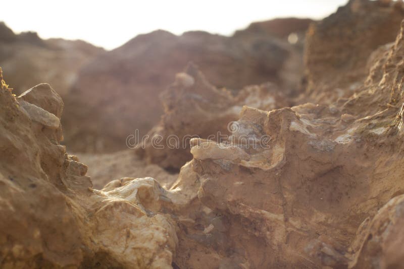 Scene Around the Deserted Land Due To Deforestation and Earth Mining ...