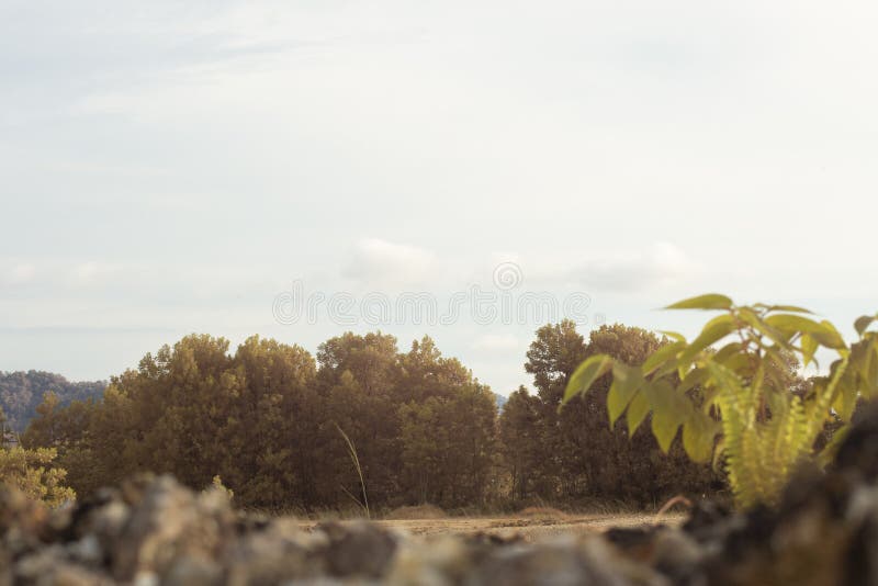 Scene Around the Deserted Land Due To Deforestation and Earth Mining ...