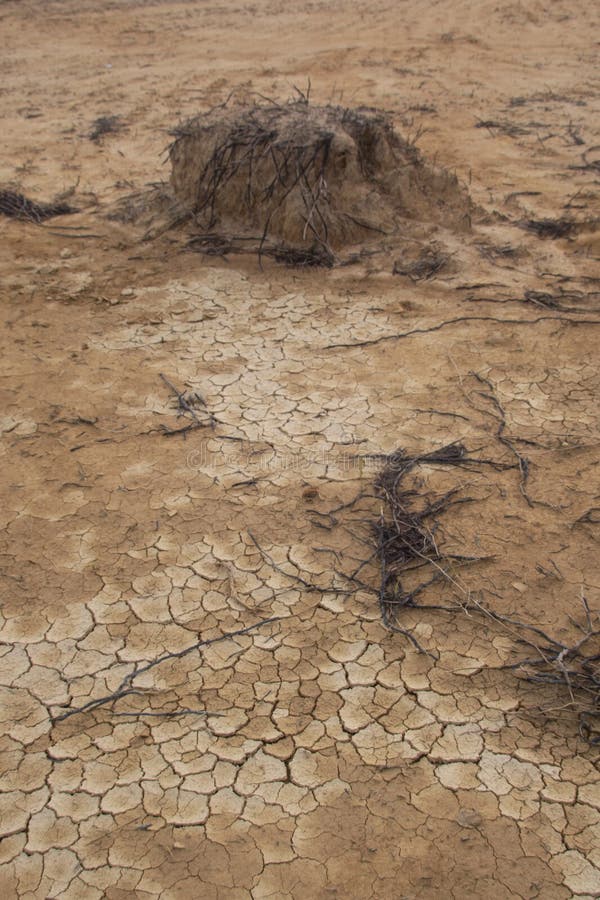 Texture of the Dried Soil Surface Ground Due To Hot Weather. Stock ...