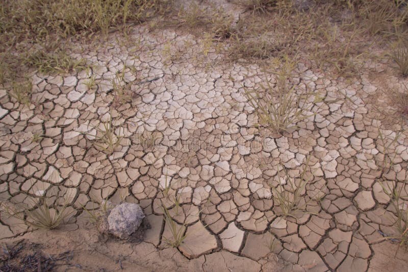 Texture of the Dried Soil Surface Ground Due To Hot Weather. Stock ...