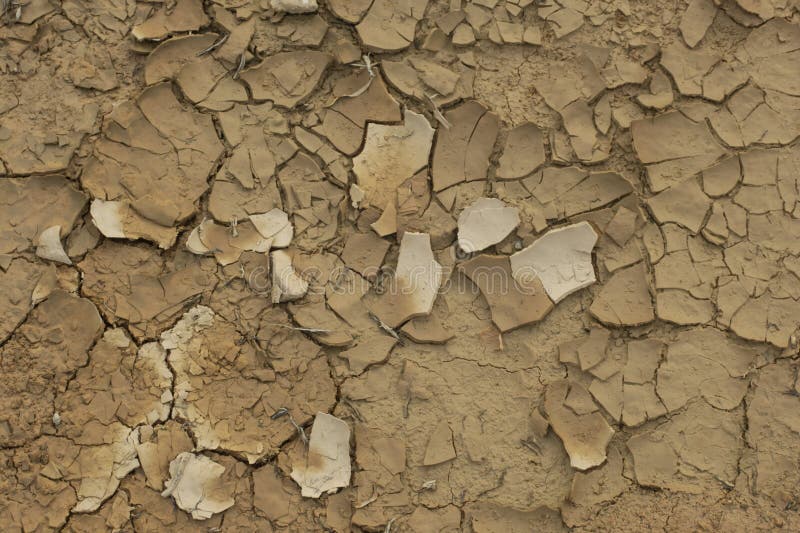 Texture of the Dried Soil Surface Ground Due To Hot Weather. Stock ...
