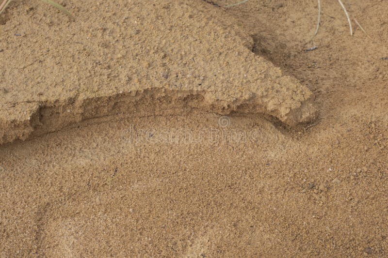 Texture of the Dried Soil Surface Ground Due To Hot Weather. Stock ...