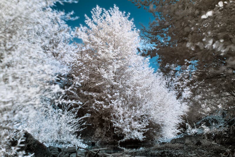Infrared (IR) Photography Landscape Stock Image - Image of blue ...